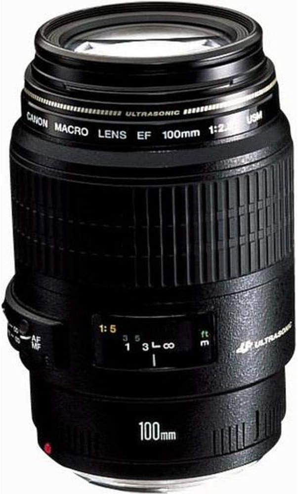 Canon EF Macro 100mm Lens for Stunning Macro Shots - MyCreativeImages